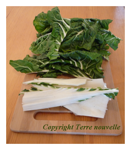 Blettes : les cuisiner | Terre nouvelle